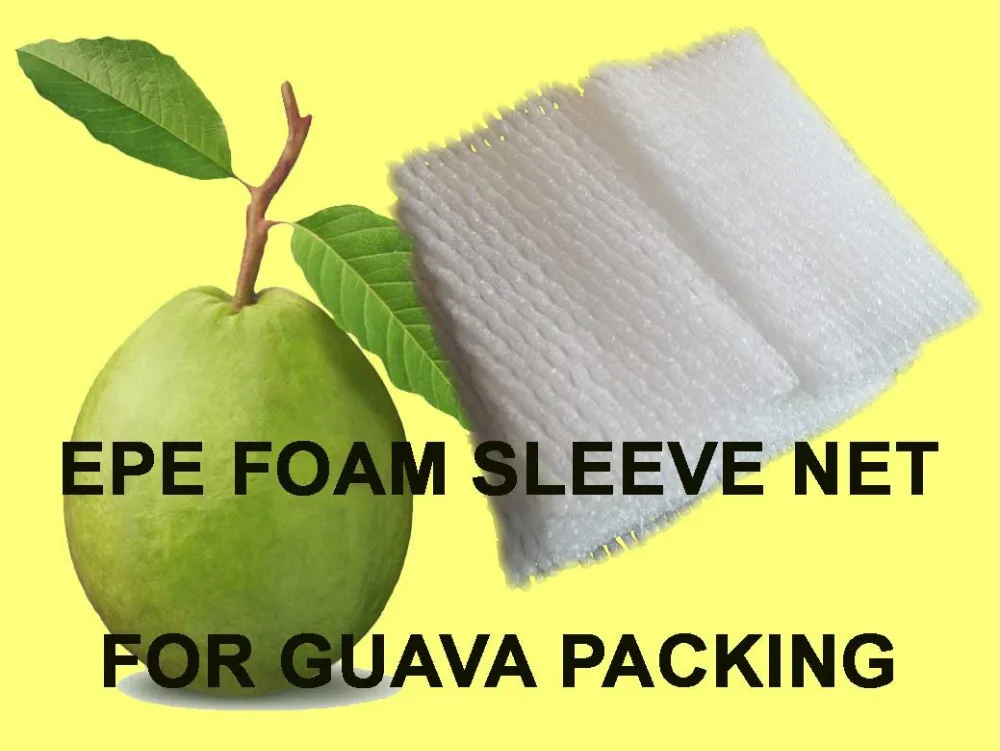 Free-CPAP-Shipping-3600-PCS-6-5-12-W-Foam-Mesh-for-guava-packing-Foam ...