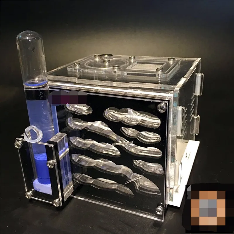 Aliexpress.com : Buy 115x110x90MM Ant Nest With Water Tower Ants Insect ...