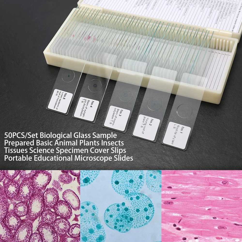 Animal Tissue Slides