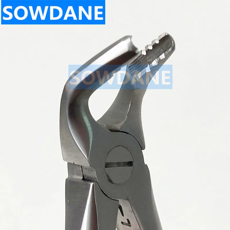 Higher Stainless steel Dental Adult Teeth Extraction Forcep for Upper ...