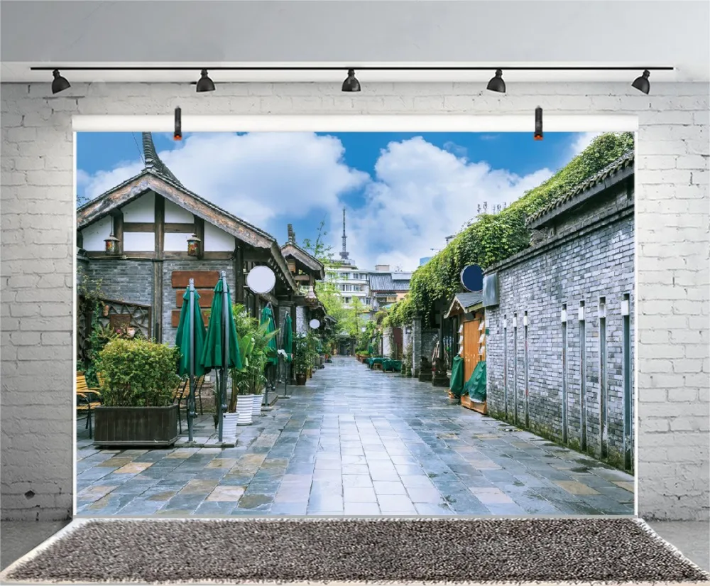 Laeacco Photography Backdrops Old Town Houses Exterior Brick Wall Alley ...