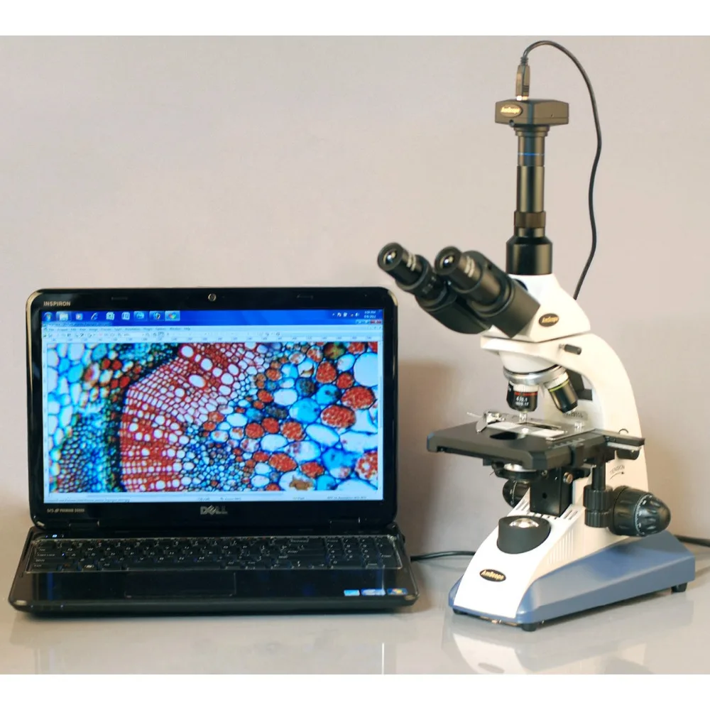Doctor Veterinary Biological Microscope--amscope Supplies 40x-1600x ...