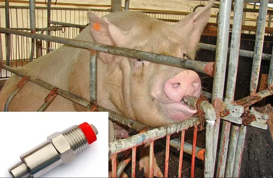 Porco porco Mamilo Água Bebedor Automático Água Sheep Pig Beber Aves ...