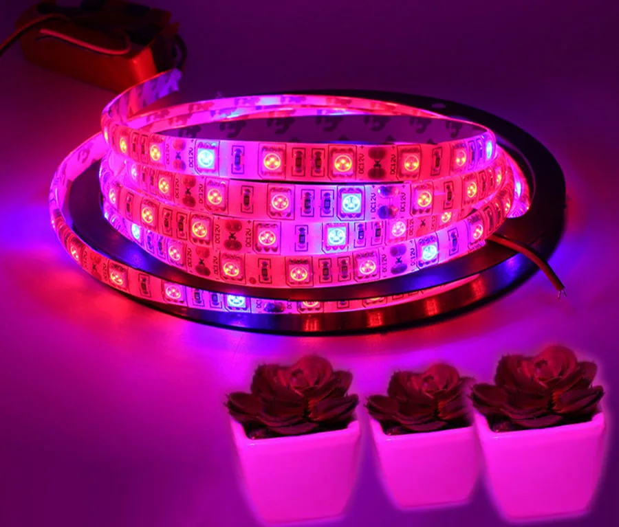 LED Red and Blue Grow Strip Lights - Growing in My Box