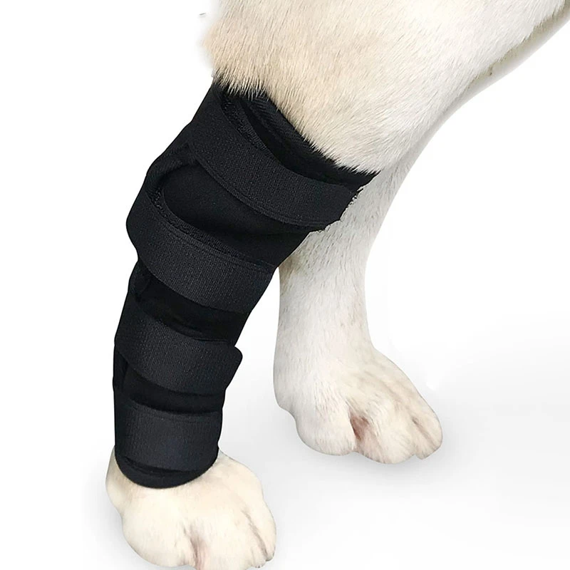 Dog Bracket Sheath Wrapped Leg Bracket Sheath Fixed Recovery Straps for ...