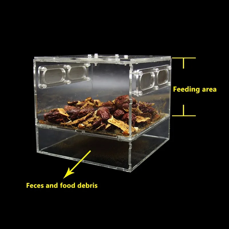 Kowloon Worm Insect Breeding Box Clear Acrylic Breeding Larva Or Fecal ...