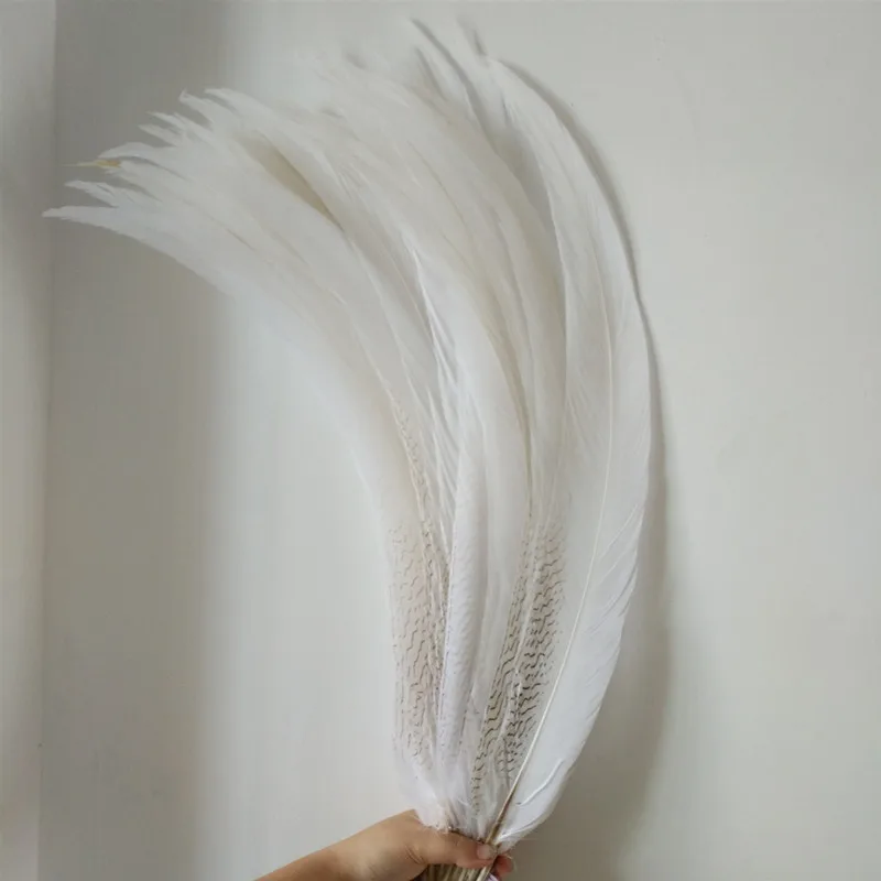 Free shipping 10pcs/lot White color pheasant silver feather 26-28 ...