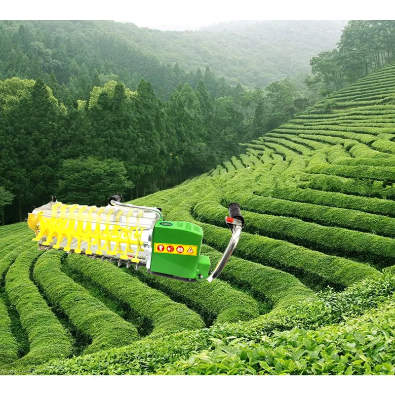 Dc Electric Single Tea Plucking Machine Hedge Trimmer Tea Picking ...