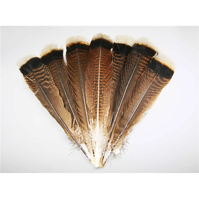 Turkey Tail Feathers Costume