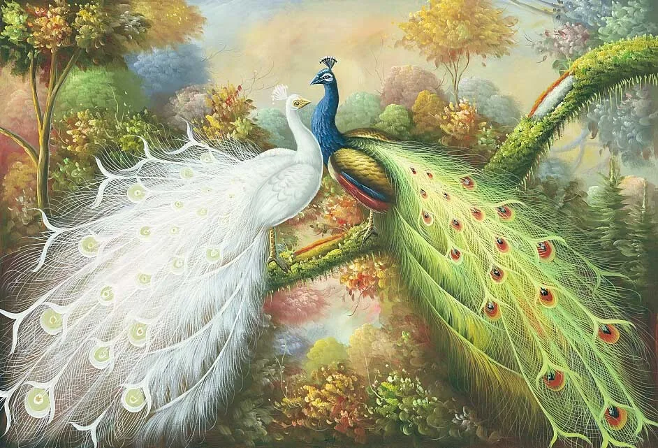 Modern Tuval Boyama Iki Tavus Kuşu Hayvan Baskılar Duvar Sanatı Oturma ...