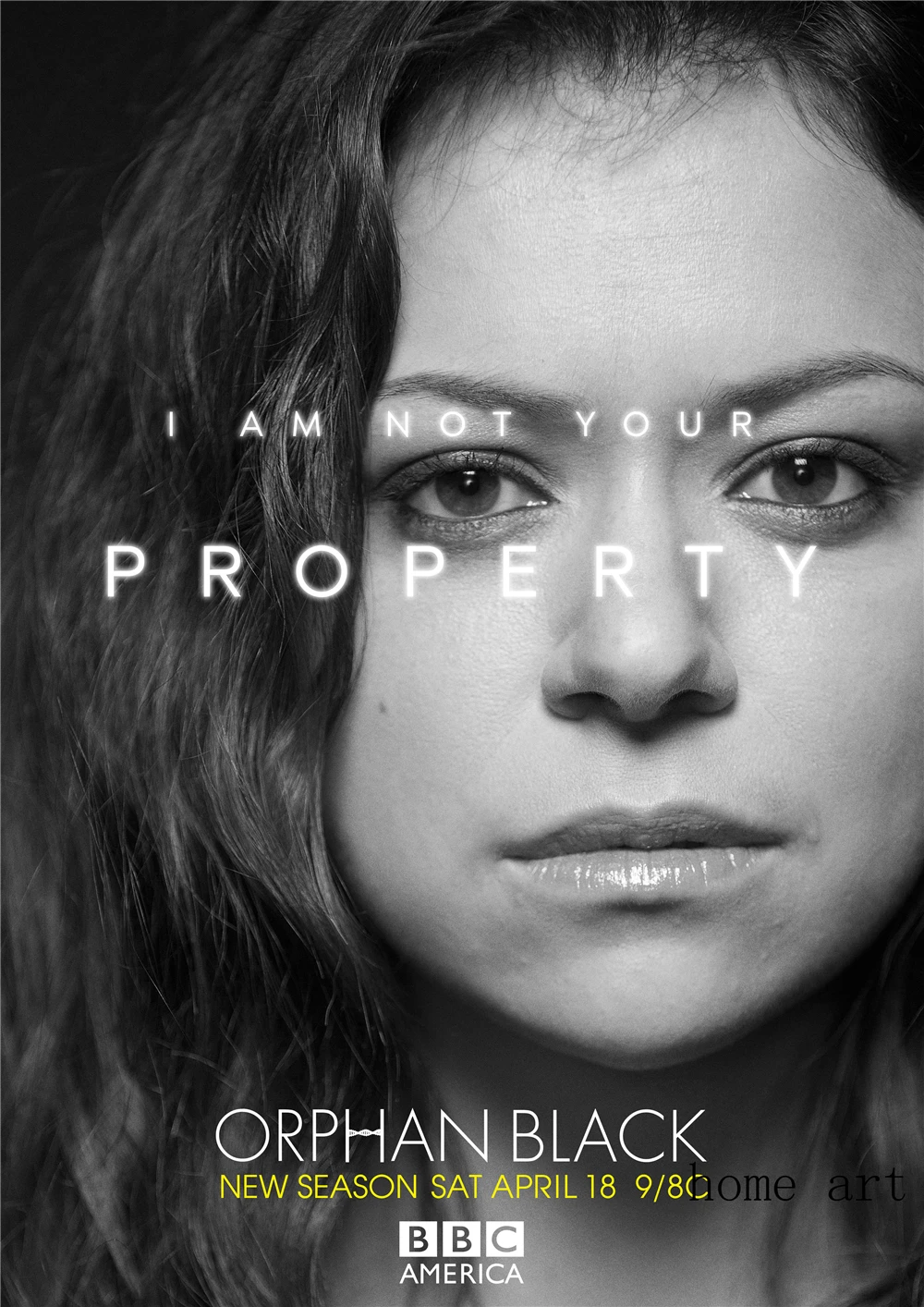 Orphan Black Season 1 Poster