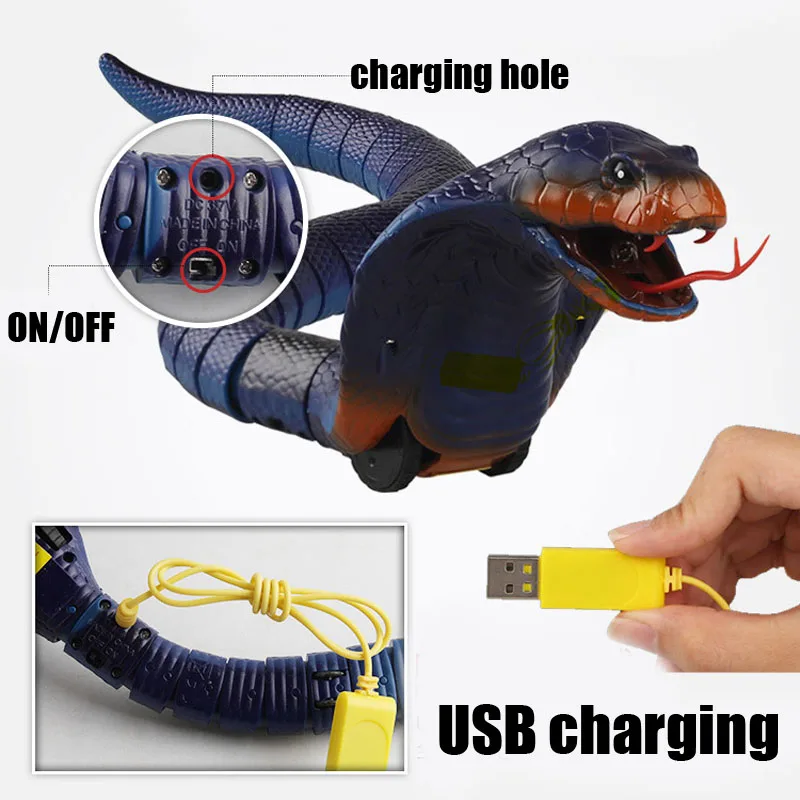 Remote Control Snake Toy | asghedom.com