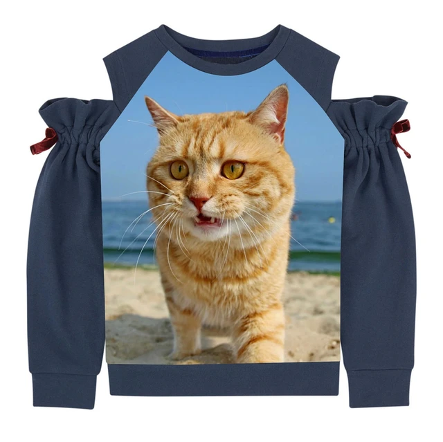 Angry Cat Wearing Clothes