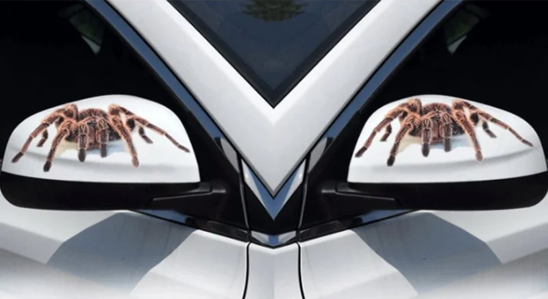 3D Car Sticker Animals Bumper Spider Gecko Scorpions For Toyota Toyota ...