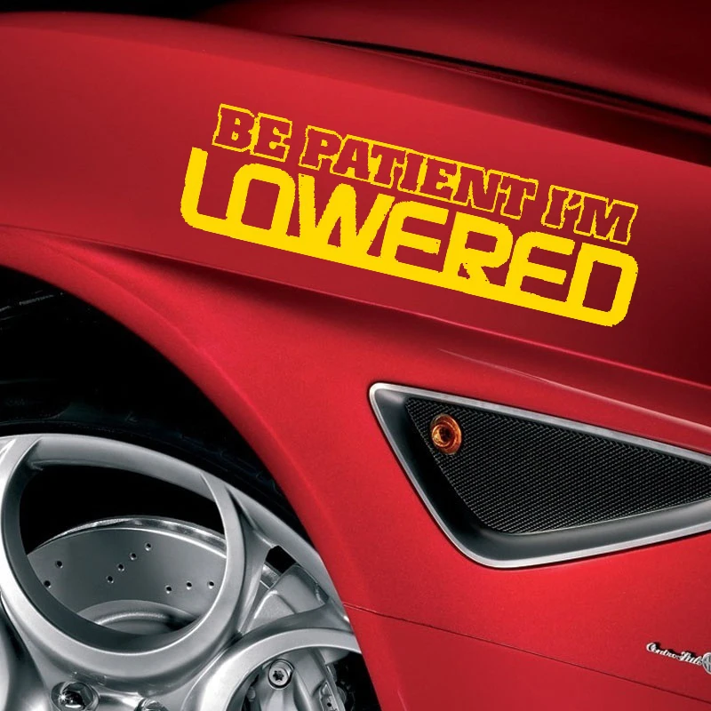 Lowered Expectations Bumper Stickers Car Stickers