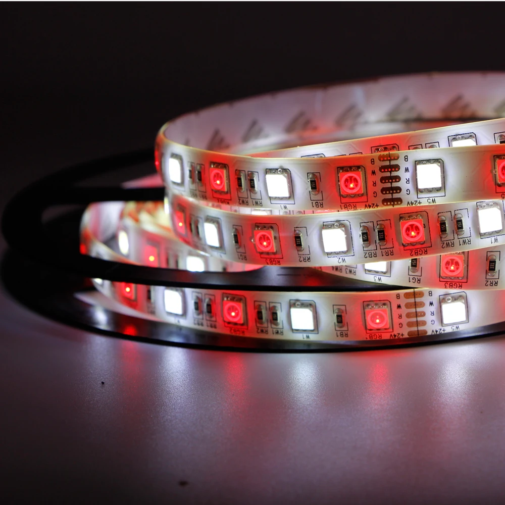 Waterproof-12V-24V-LED-Strip-Light-5050-RGB-RGBW-RGB-WW-white-60LED-M ...