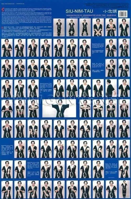 Wing Chun Techniques Chart