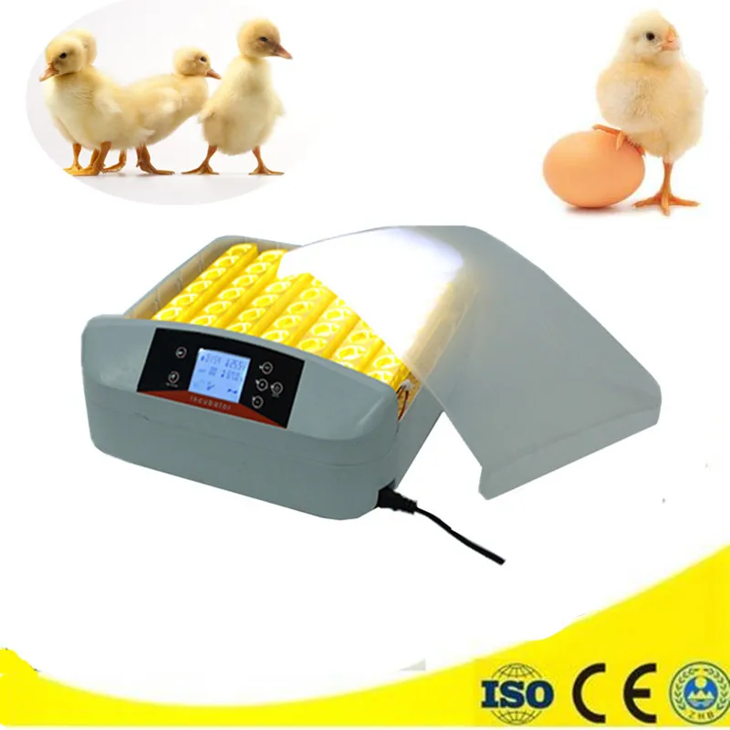 56 Chicken Brooder Family Industrial Intelligent Digital Hatcher LED ...