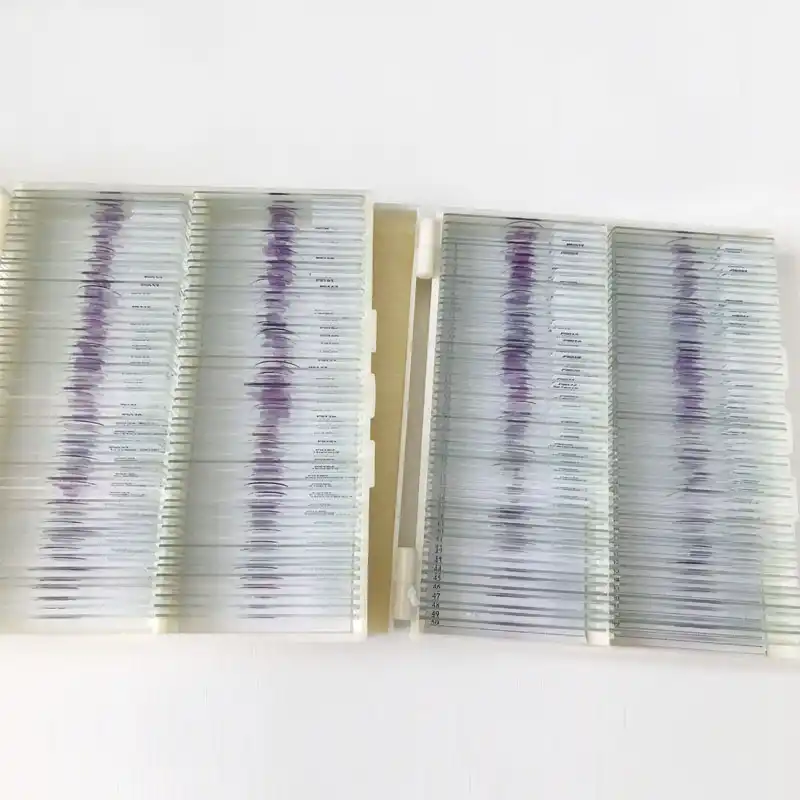 200pcs Human Pathology prepared slides - AliExpress