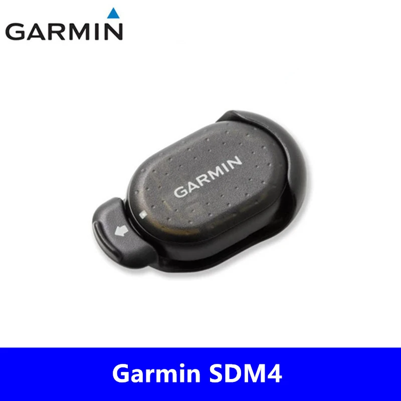 Ant Foot Pod | ppgbbe.intranet.biologia.ufrj.br