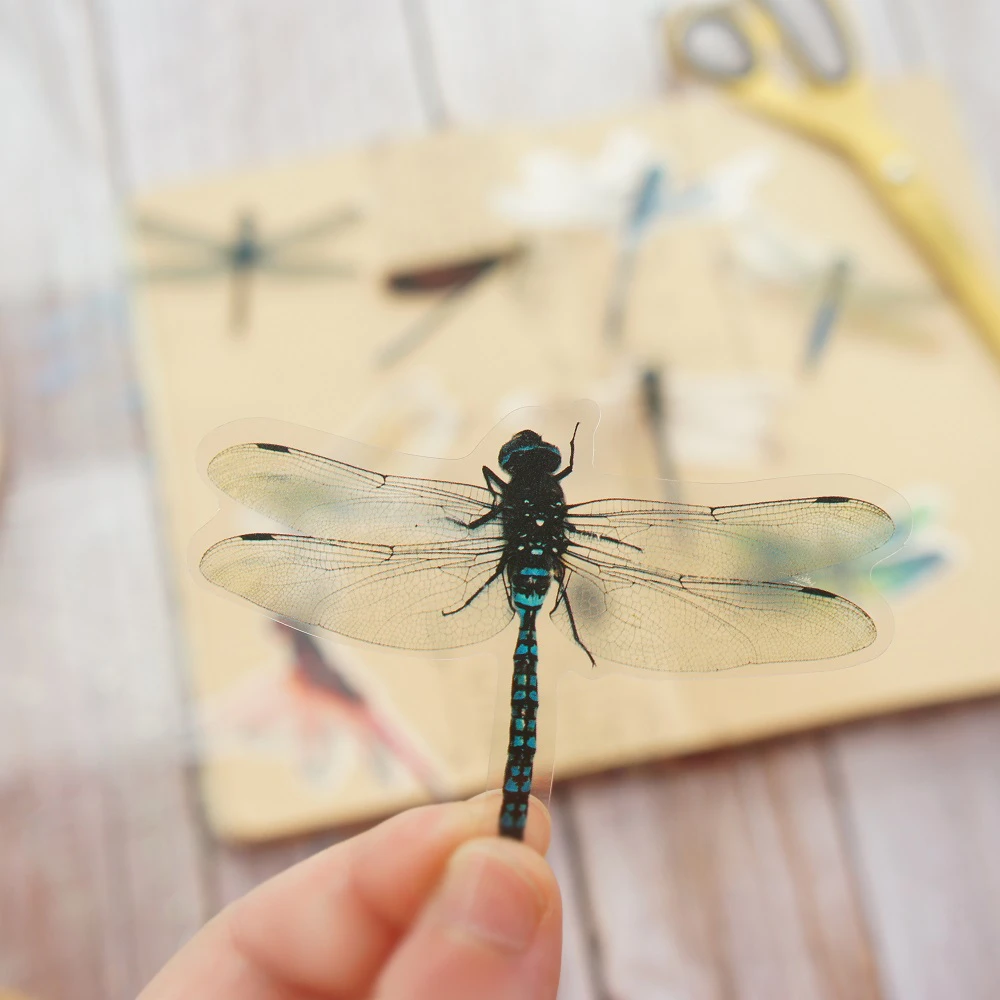 28pcs Insect Theme Dragonflies In Summer Style PVC Sticker Scrapbooking ...
