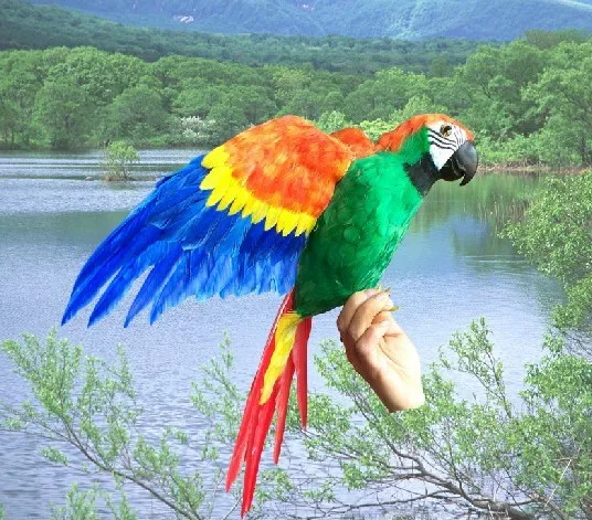 Colorful-macaw-simulation-feather-bird-handmade-craft-hallowen-party ...