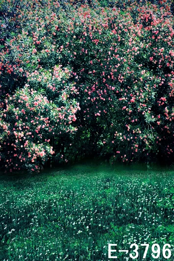 Free digital natural spring scenic background,studio props photography ...