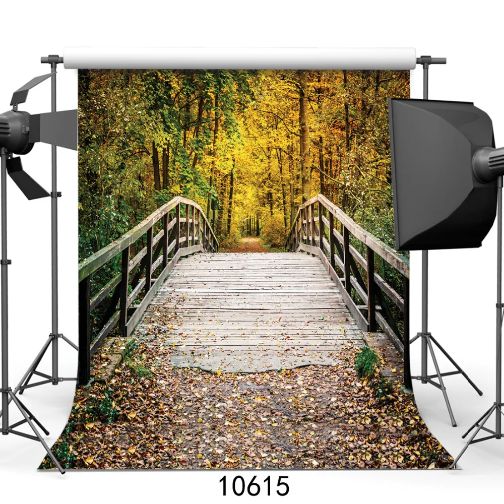 Background For Photos Autumn Tree Bridge Computer Printed Vinyl ...