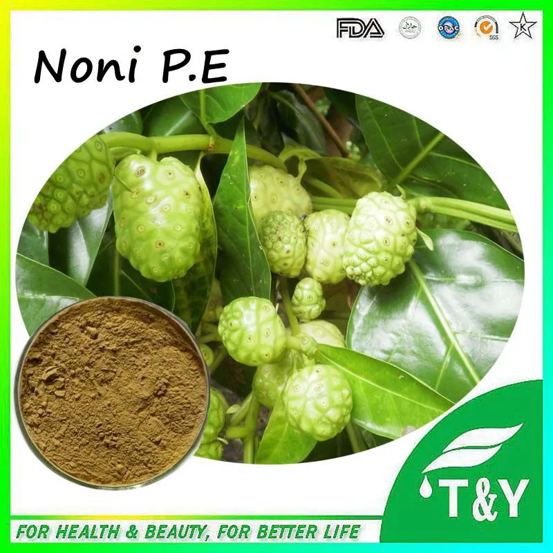 Venda quente extrato Da Planta Noni concentrado do suco/frutas extrato ...