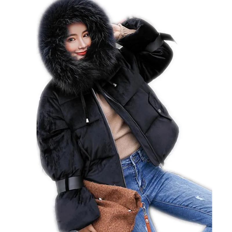Plus Size 3xl Sweet New Women Parkas 2019 Short Women Down Cotton Jacket Short Hooded Big Fur