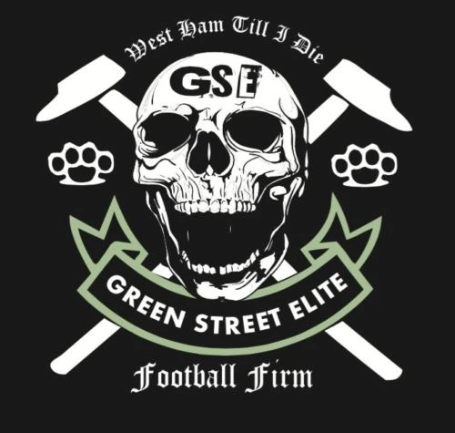 Hooligans Logo Skull