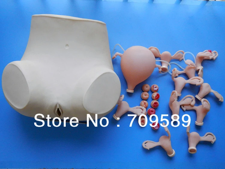 Advanced-Gynecological-Examination-Simulator-Pelvic-examination-model.jpg