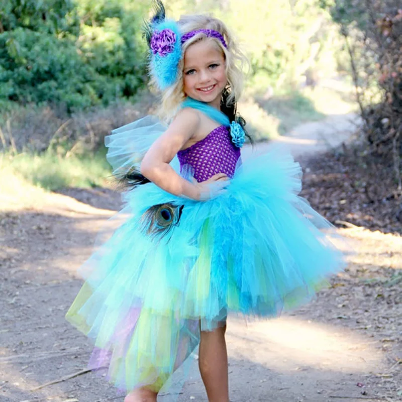 Buy Girls Peacock Princess Trailing Party Dress Handwork With Peacock Feather
