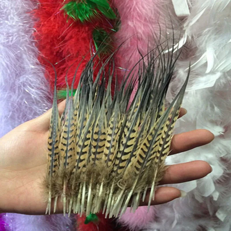 Rare-pheasant-feathers-15-20-cm-long-Beautiful-pattern-Feather-Craft ...