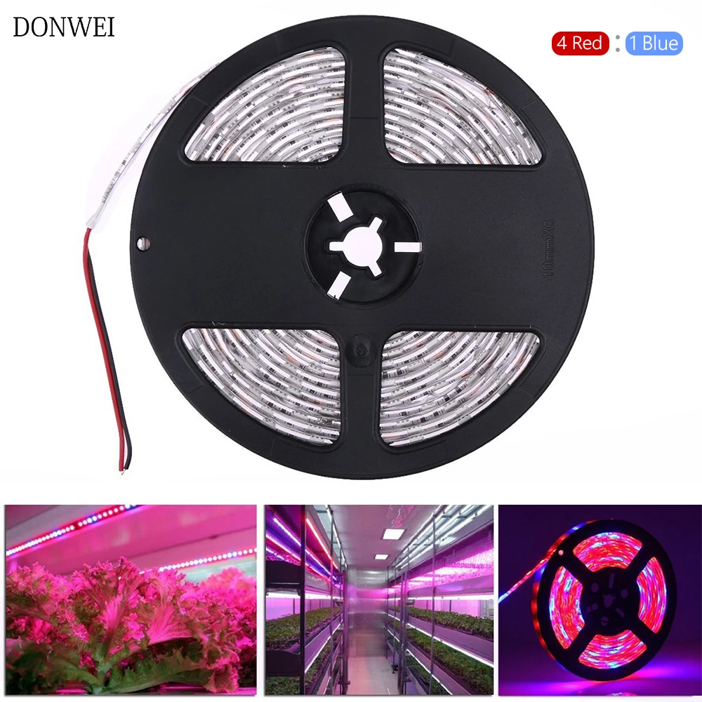 5050 Led Grow Lights Dc 12v Waterproof Growing Led Strip Plant Growth ...
