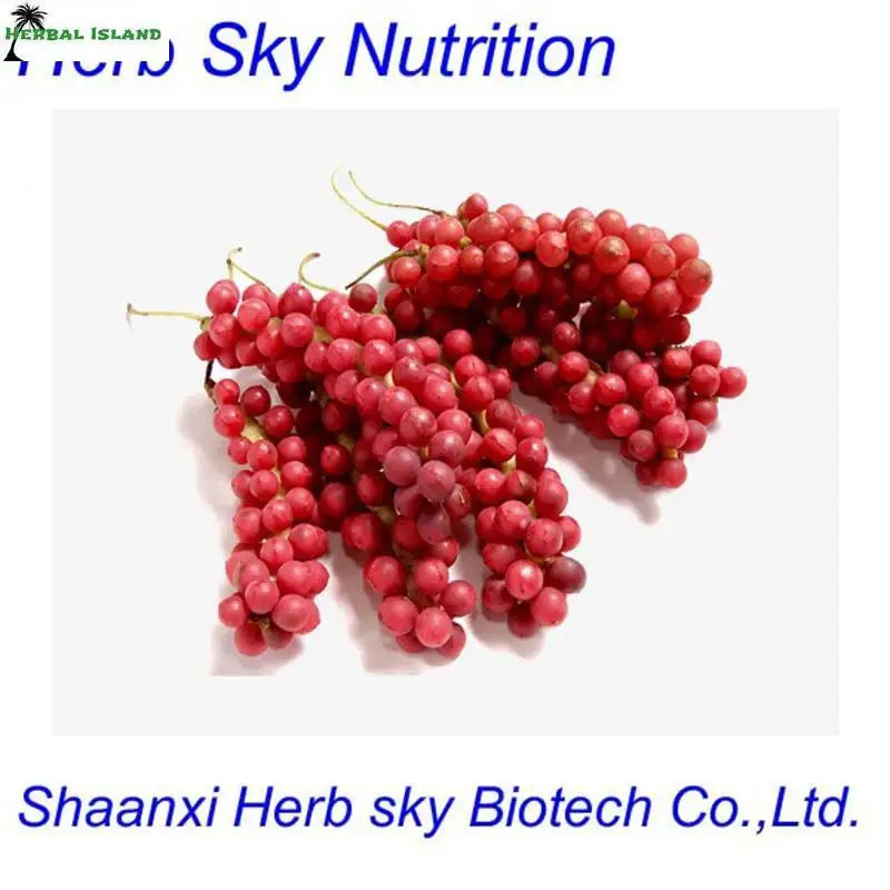 Natural schizandra extract l Schizandra fruit extract powder ...