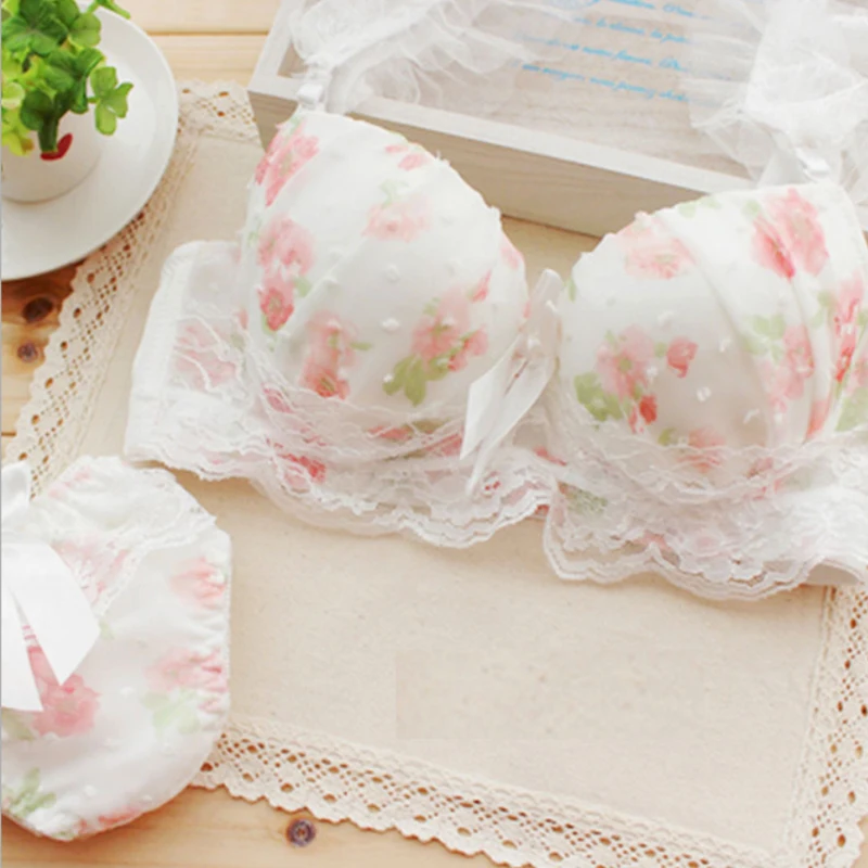 rustic rose princess aesthetic chiffon underwear set embroidery ...