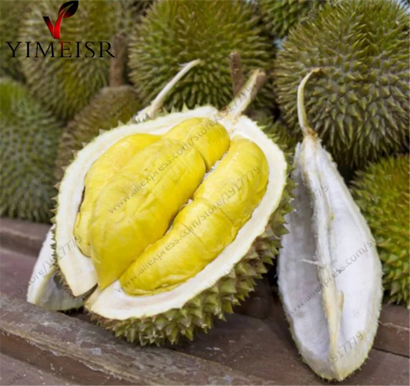 Online Buy Wholesale jackfruit from China jackfruit Wholesalers ...