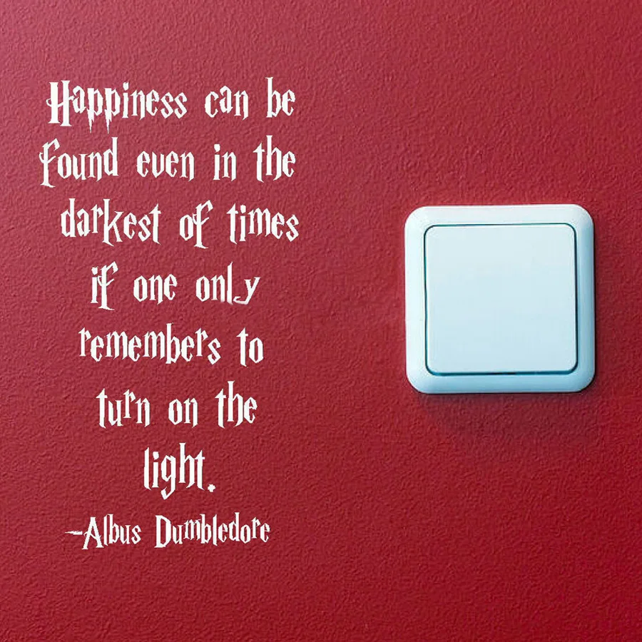 QUOTE TURN LIGHT SWITCH ON WALL ART STICKER DECAL,Funny SWITCH Wall ...