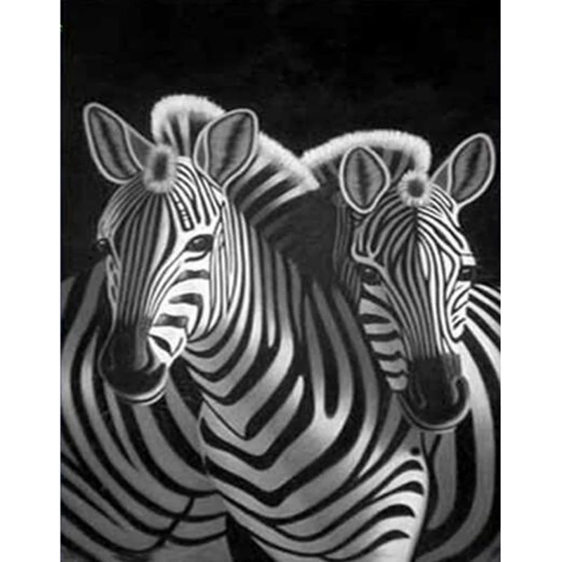 3D DIY Diamond Embroidery,5D Diamond painting zebra,Diamonds mosaic ...