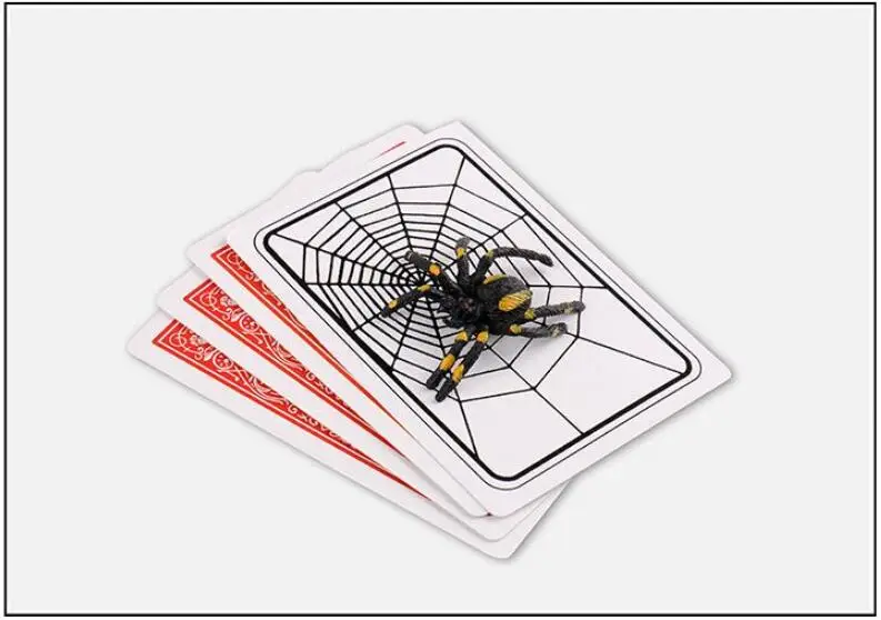 Spider Card Spider And The Web / Cards /magic Tricks - Magic Tricks ...