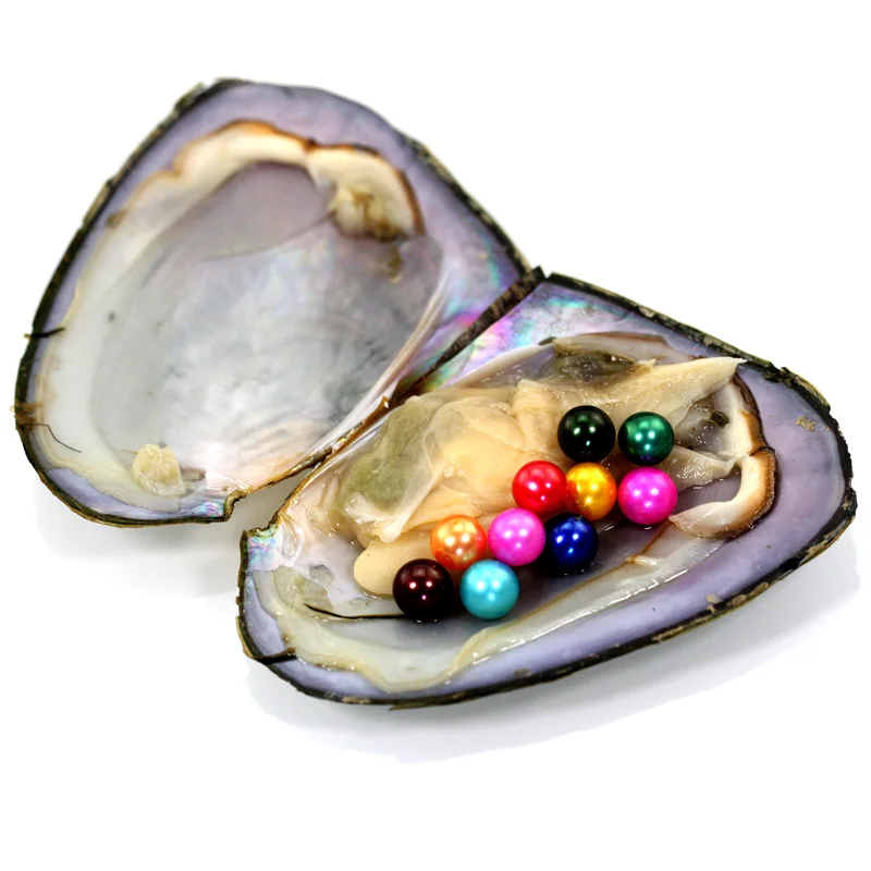 High Quality Cheap Love Freshwater Shell Pearl Oyster 10 Pearls 6 7mm