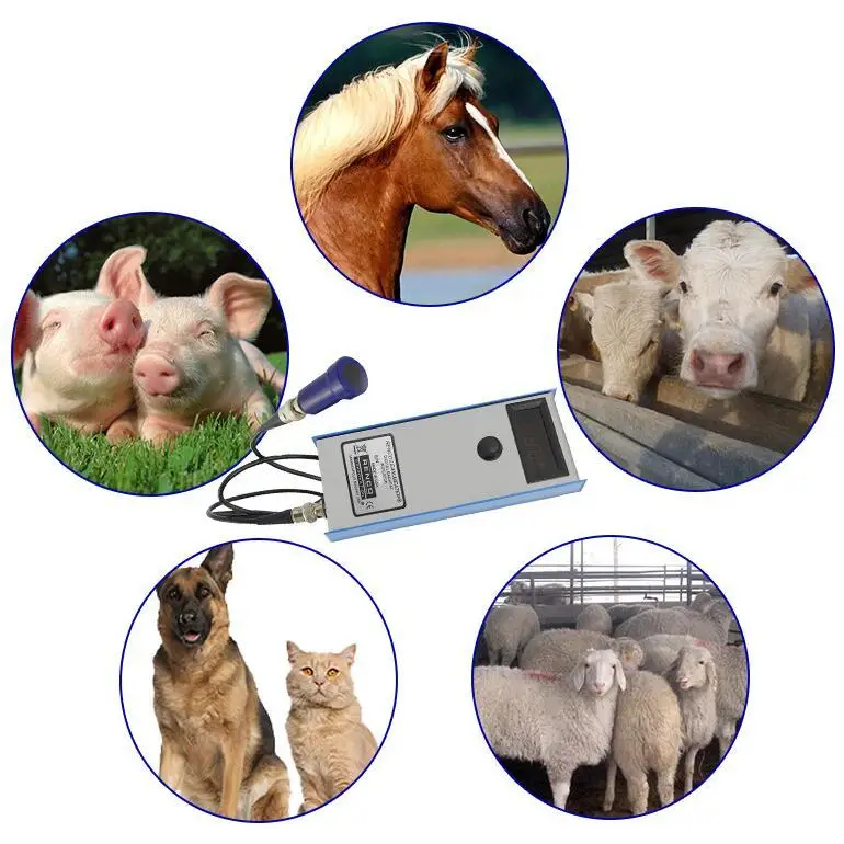 Pig Cattle Bovine Back Fat Measure Tester Usa Renco Back Fat Measuring pig-cattle-bovine-back-fat-measure-tester-usa-renco-back-fat-measuring