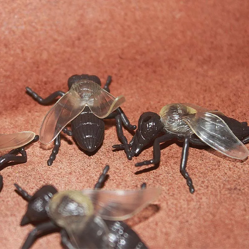 PVC figure Doll model toy The simulation model toy fly 5pcs/set|model ...