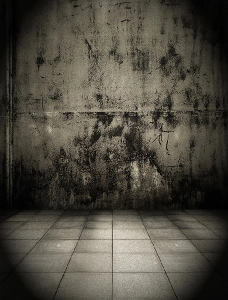 5*8ft photo backdrop, screen wall and floor backdrop,backgrounds for ...