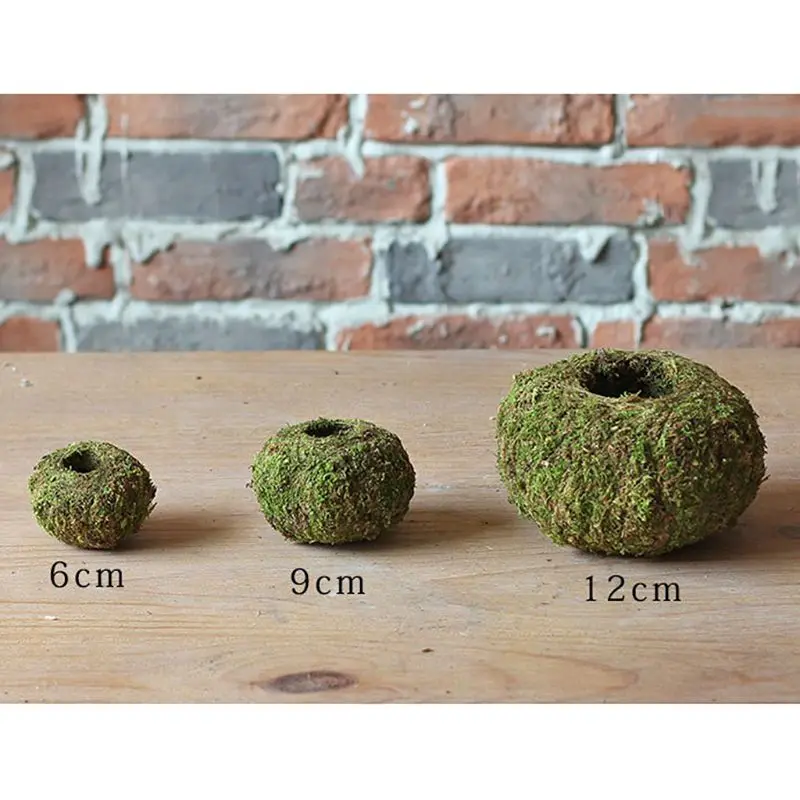 Moss Ball Planters - Japanese Art for Your Home