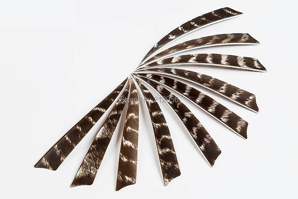 Longbowmaker 5" Eagle Shield Shape Natural Feathers Archery Arrow ...