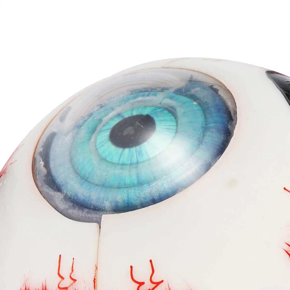 6x Removable Human Eye Eyeball Model Eyeball Internal Structure Learn ...