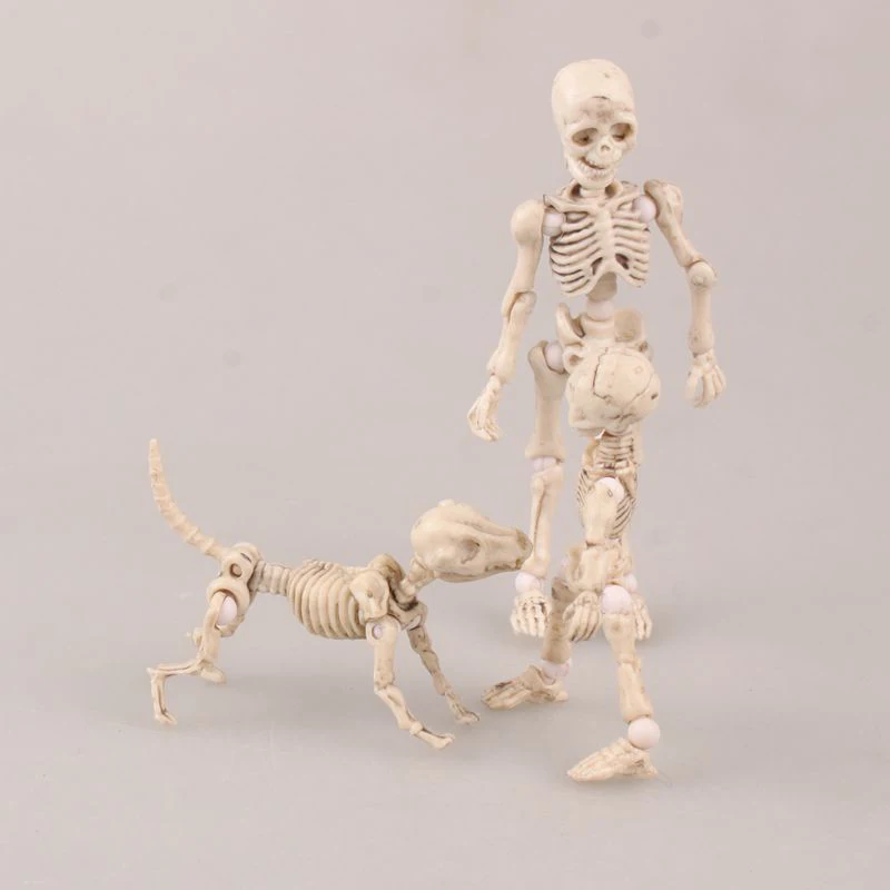 Skeleton Pose 3pcs/set Action Figures Variant Pose Skeleton Doll Pvc ...