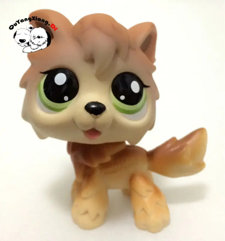 Green Eyed Brown Wolf Pup